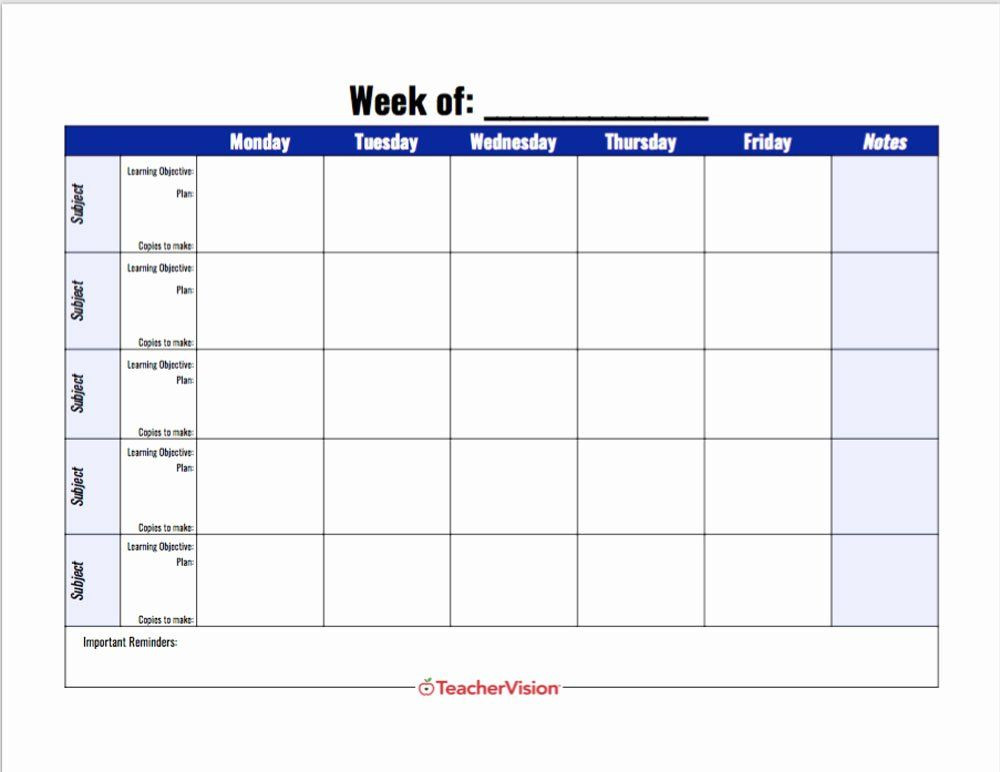 20 5 Day Lesson Plan Template