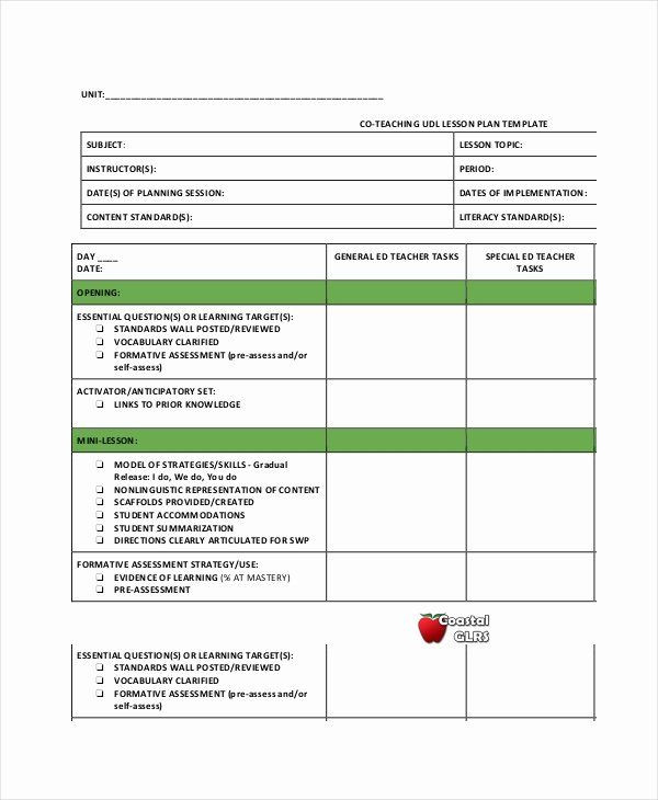 20 Co Teaching Lesson Plan Template
