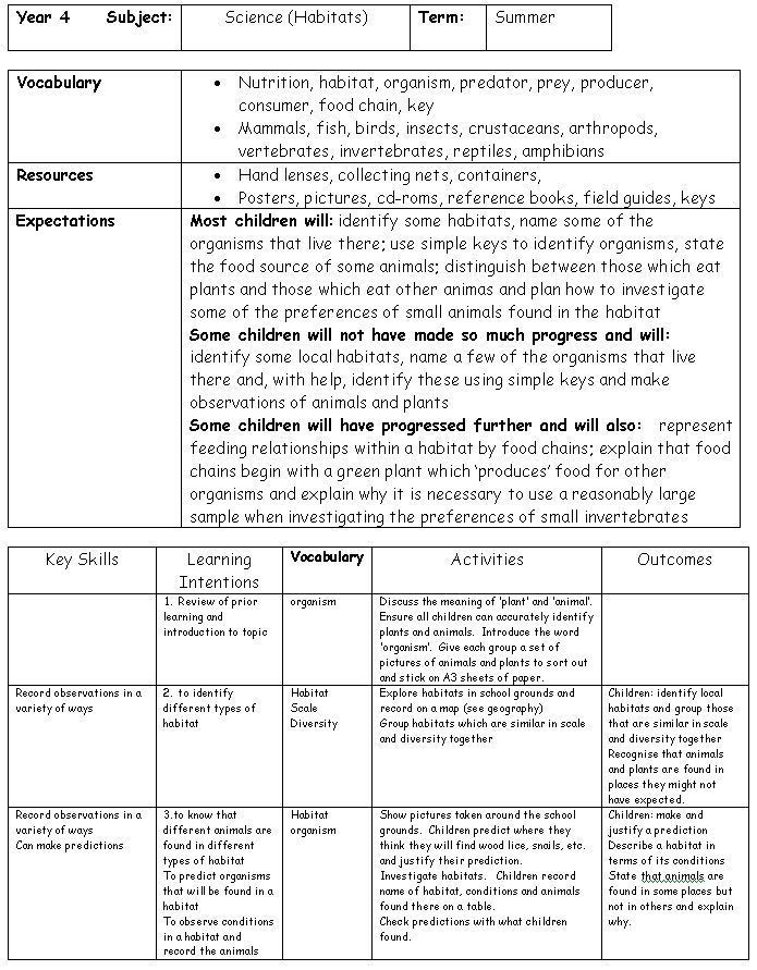 20 Cross Curricular Lesson Plan Template Simple Template Design
