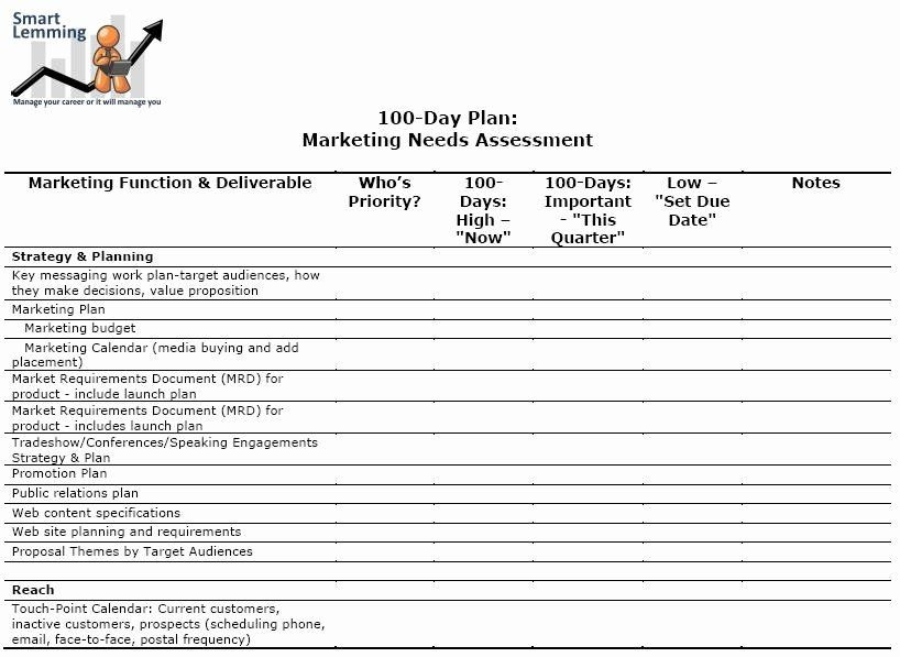 20 100 Day Plan Template Excel 