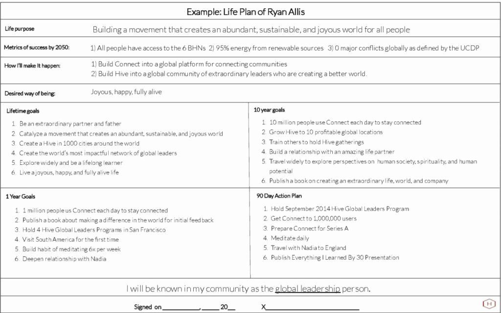 20 5 Year Plan Template Career