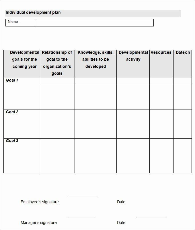 20 Employee Development Plan Template Excel