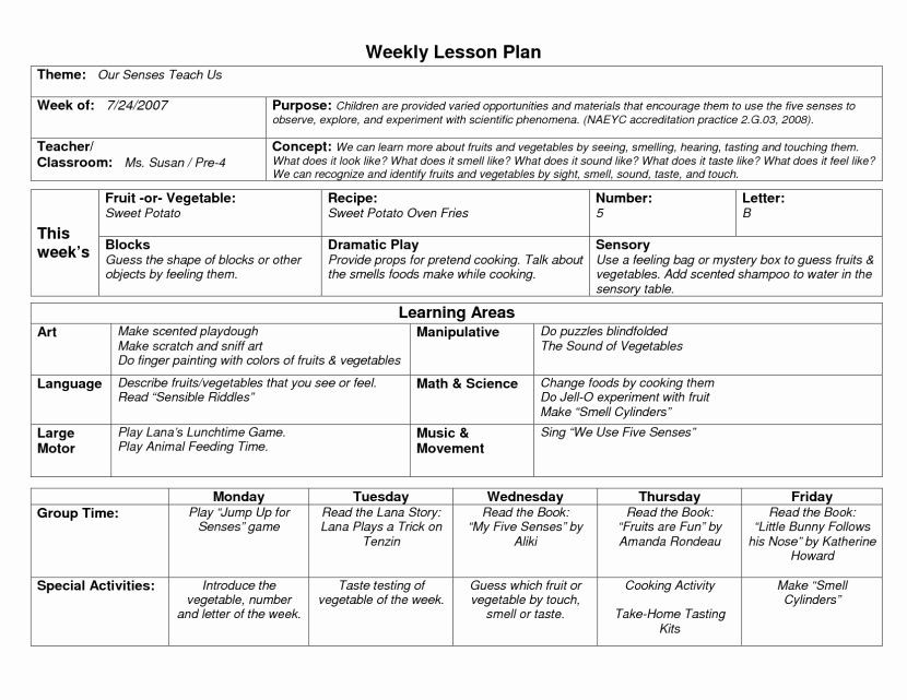 20 Lesson Plan Template With Standards